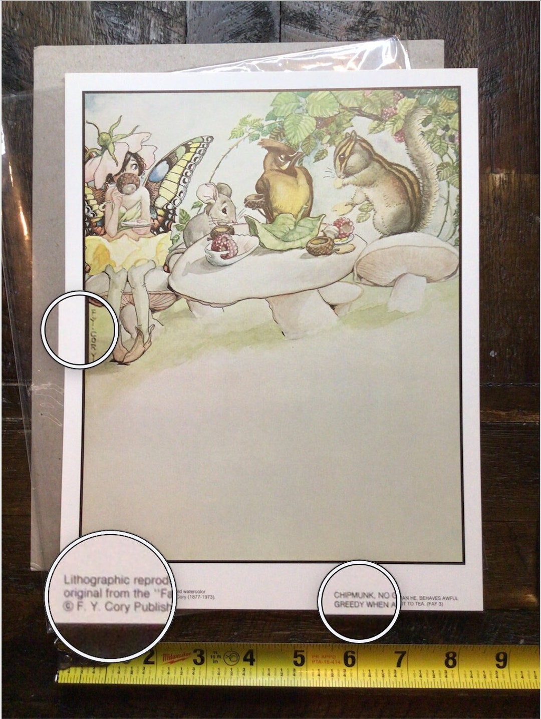 C is for Chipmunk - Fairy Alphabet Print - Illustrated by Fanny Y. Cory ...