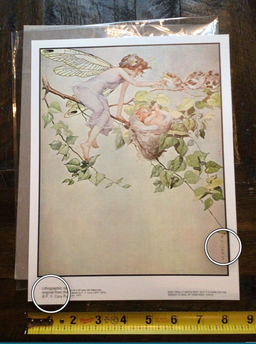 B is for Baby - Fairy Alphabet Print - Illustrated by Fanny Y. Cory - Etsy