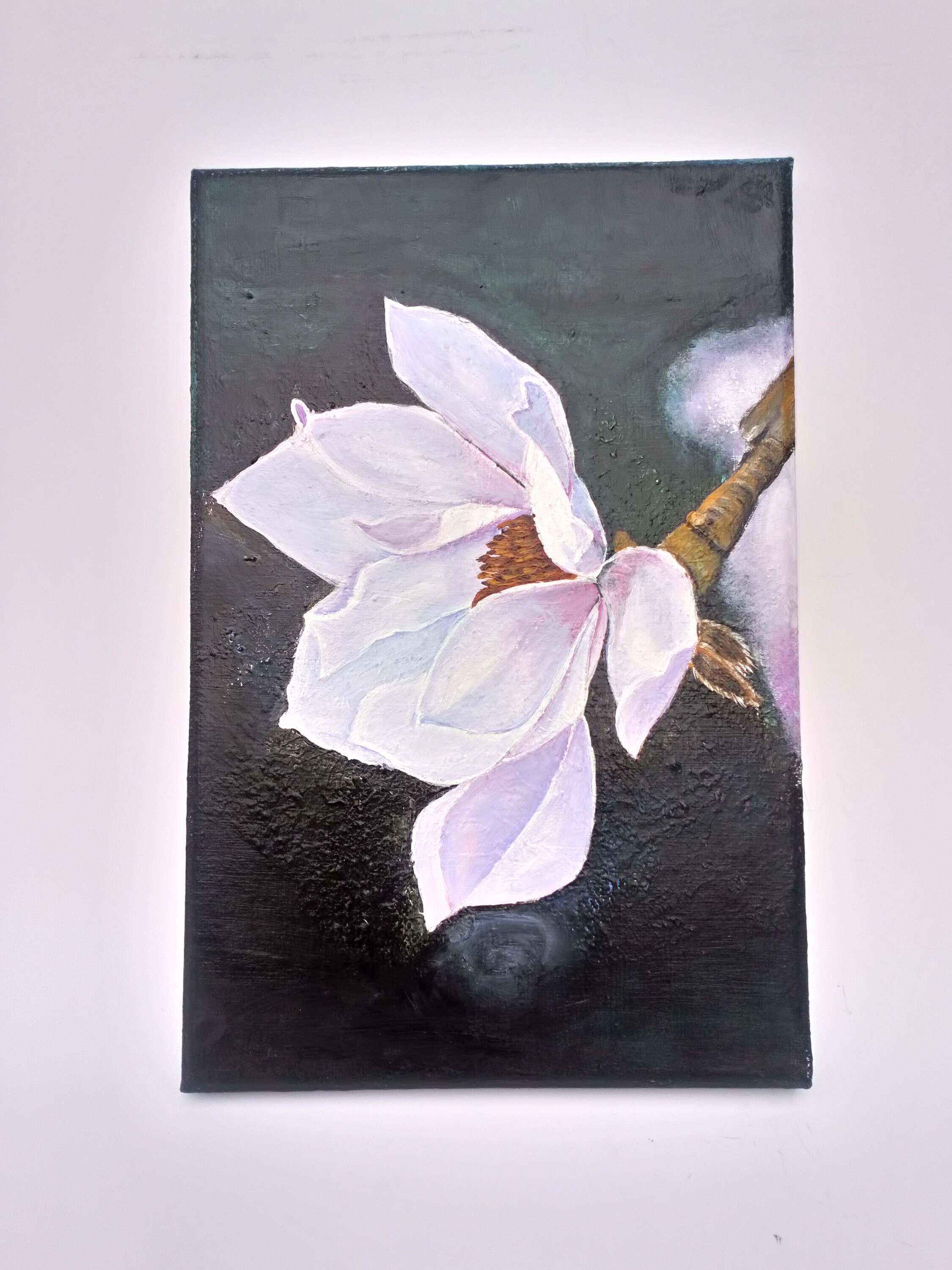 Magnolia, Original Art ,magnolia Acrylic Painting on Canvas.20/30 Cm ...