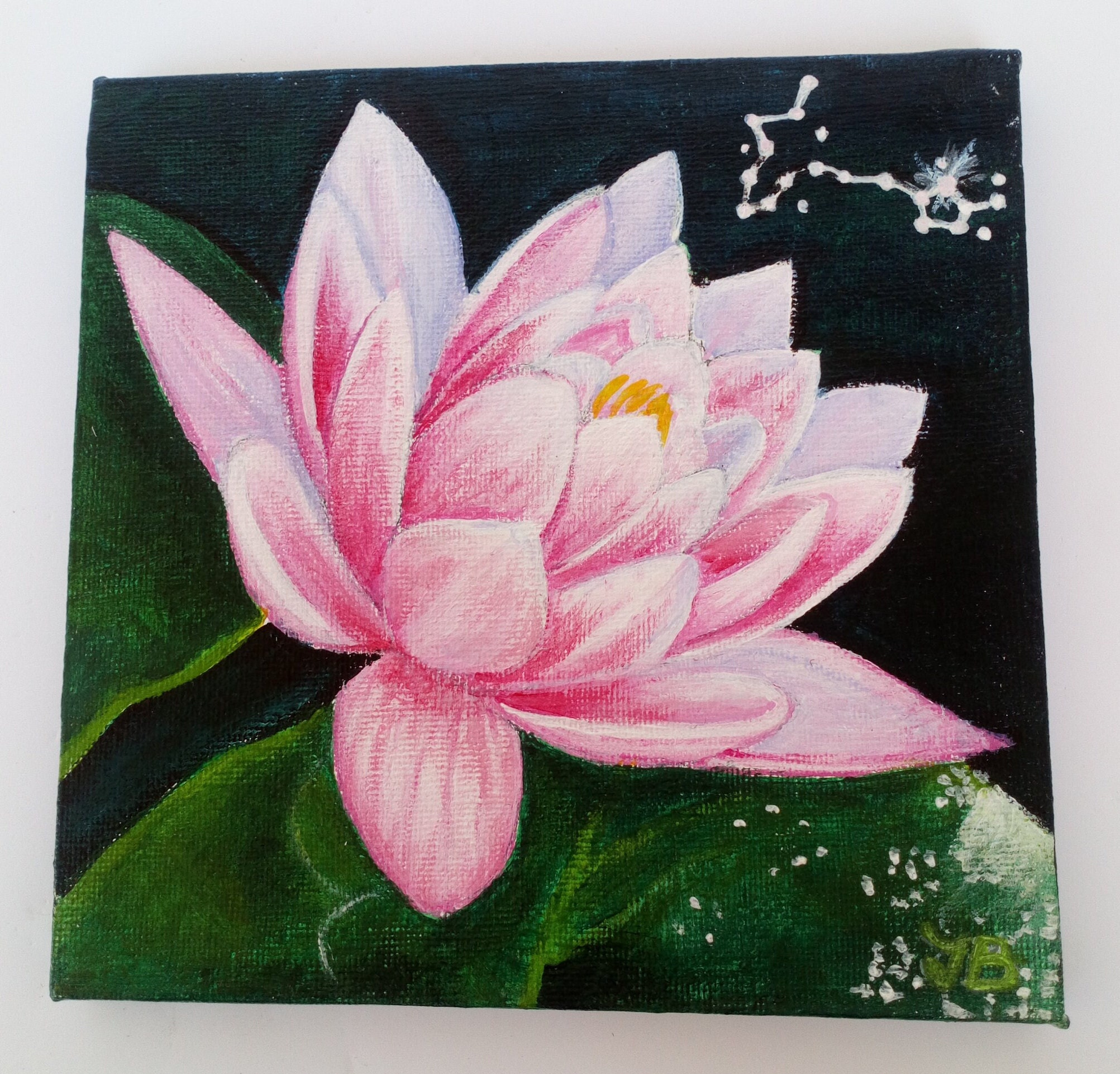 Pisces Zodiac Birth Flower, Water Lilies Zodiac Birth Flower,small ...