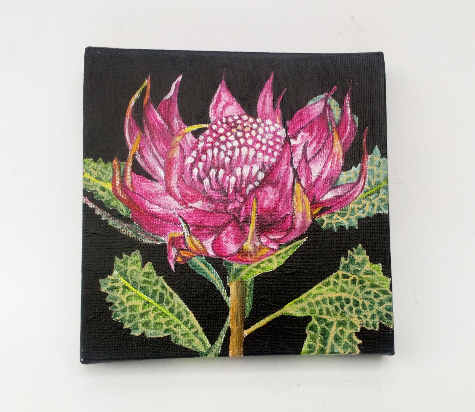 Telopea Speciosissima ,original Acrylic Painting on Canvas.15 X 15 Cm ...