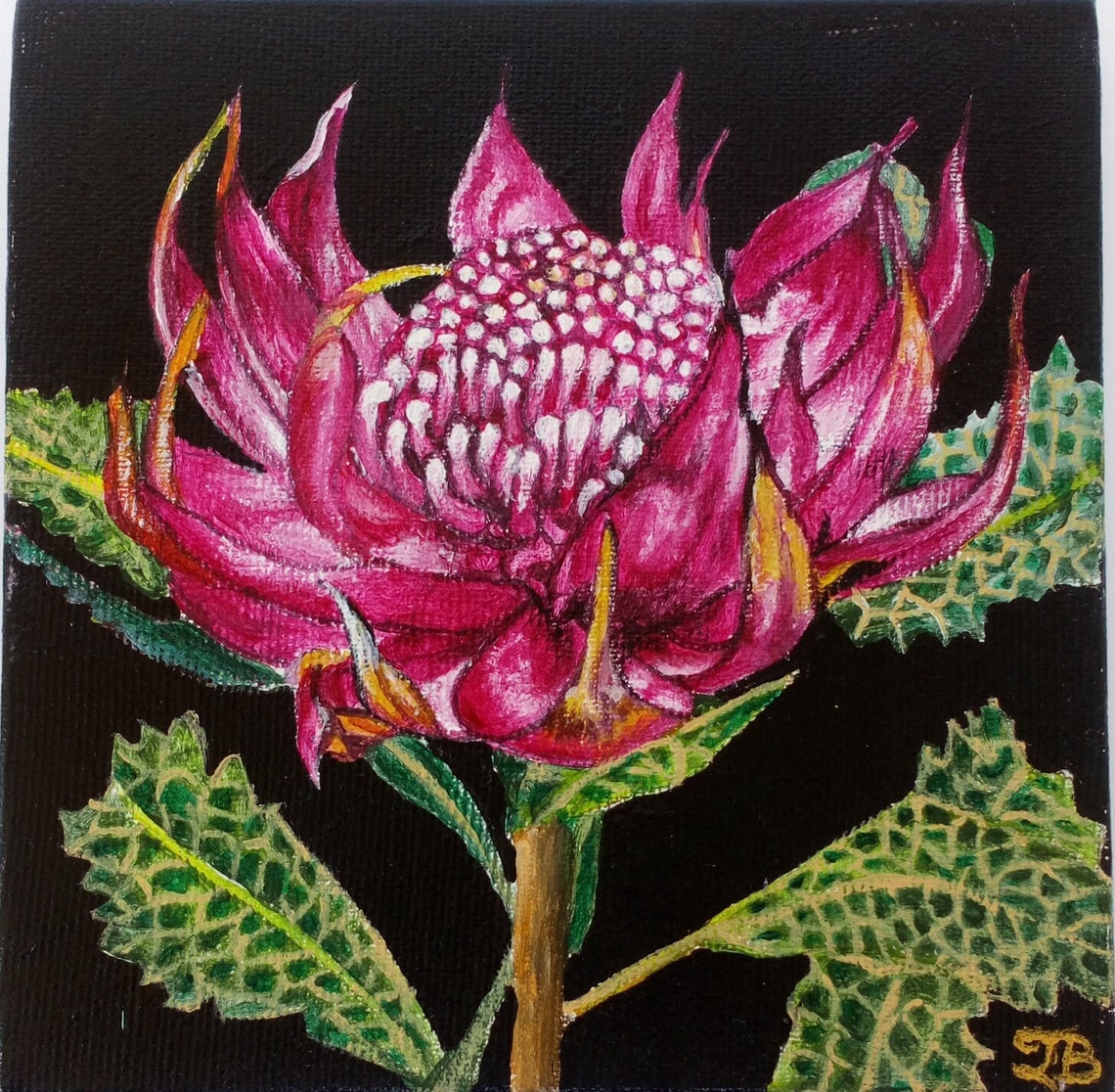 Telopea Speciosissima ,original Acrylic Painting on Canvas.15 X 15 Cm ...