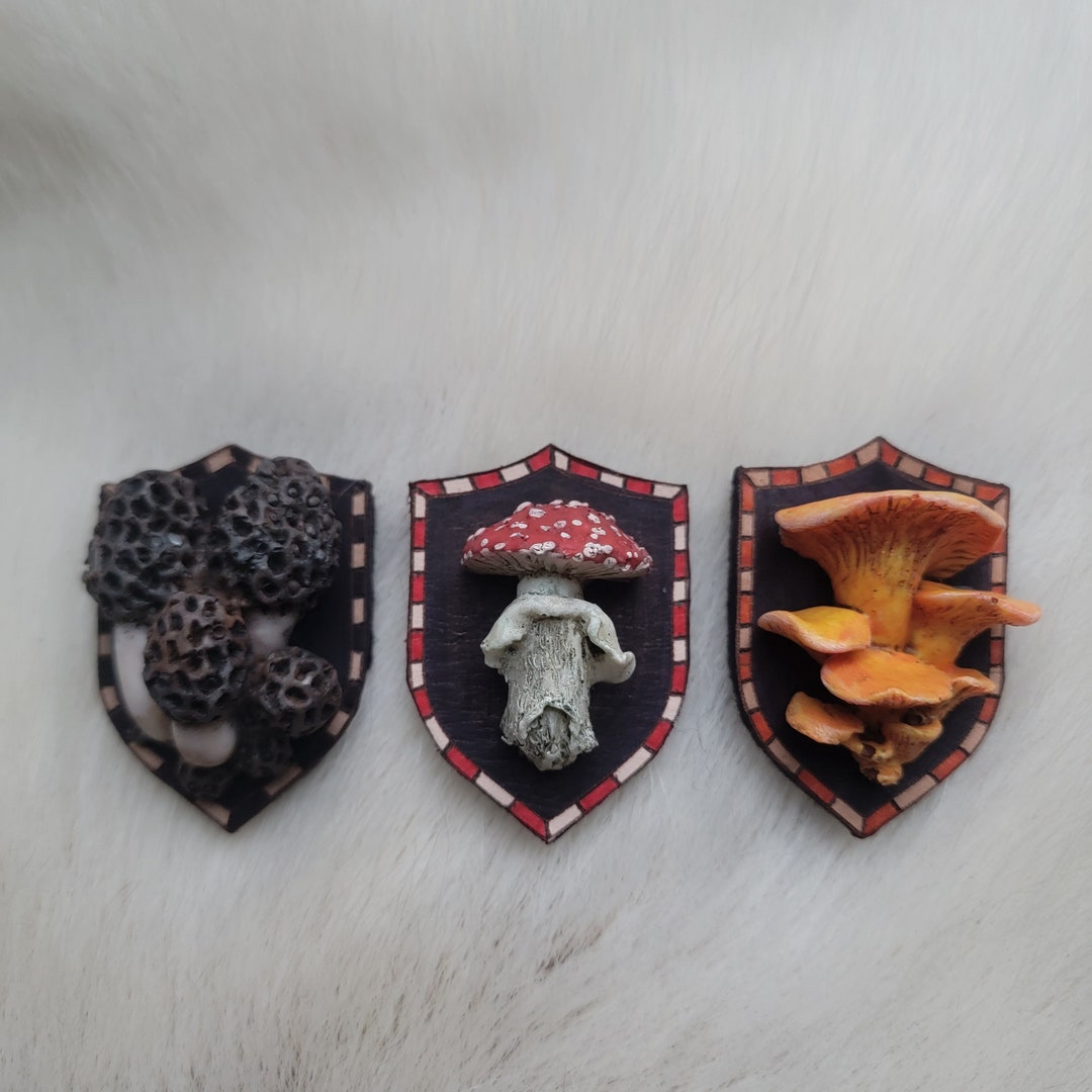 Mushroom Pins Set of 3 - Etsy