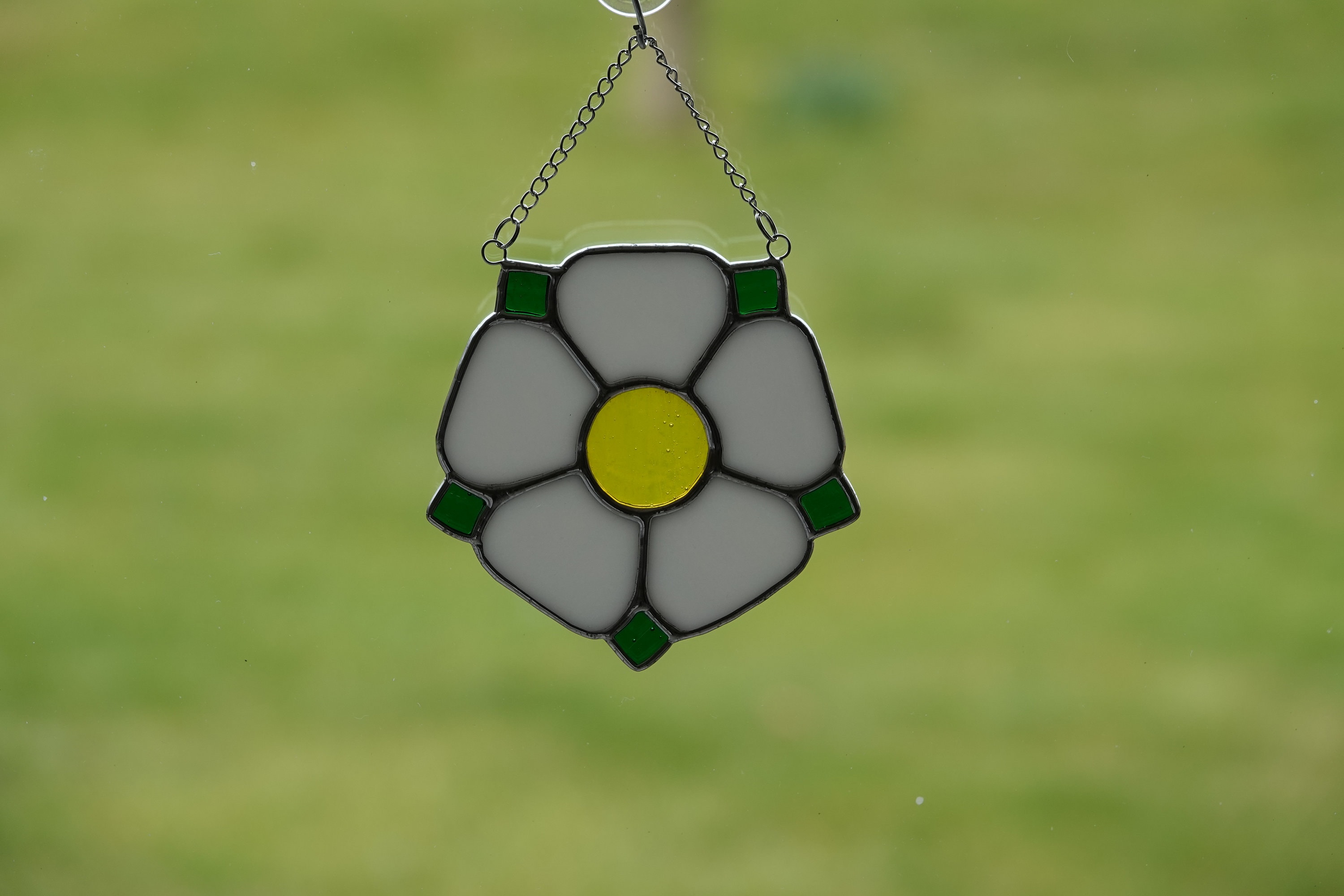 White Rose Of Yorkshire