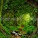 Fantasy Enchanted Magical Forest Large Wall Mural, Self-adhesive Vinyl ...