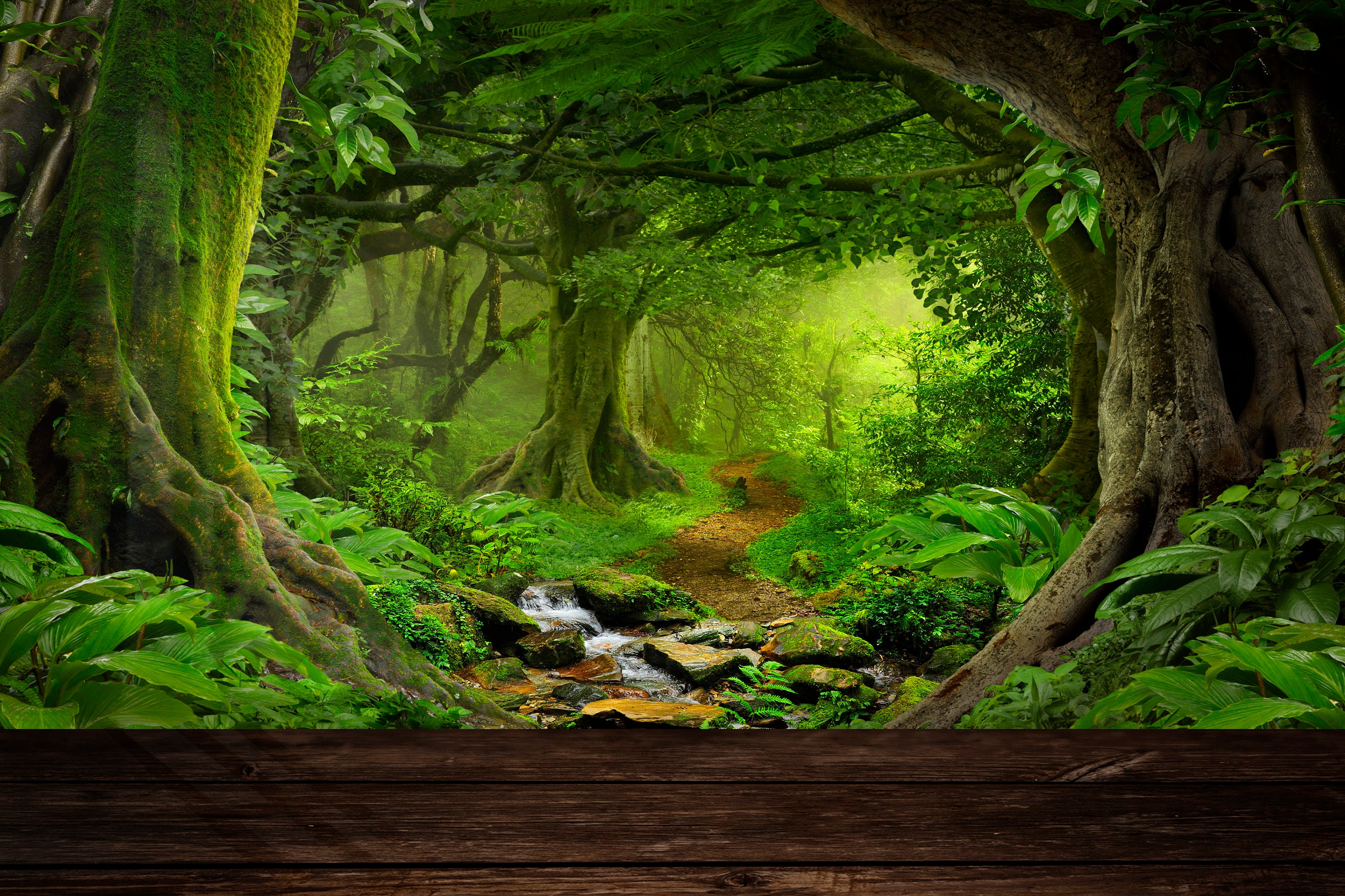Fantasy Enchanted Magical Forest - Large Wall Mural, Self-adhesive ...