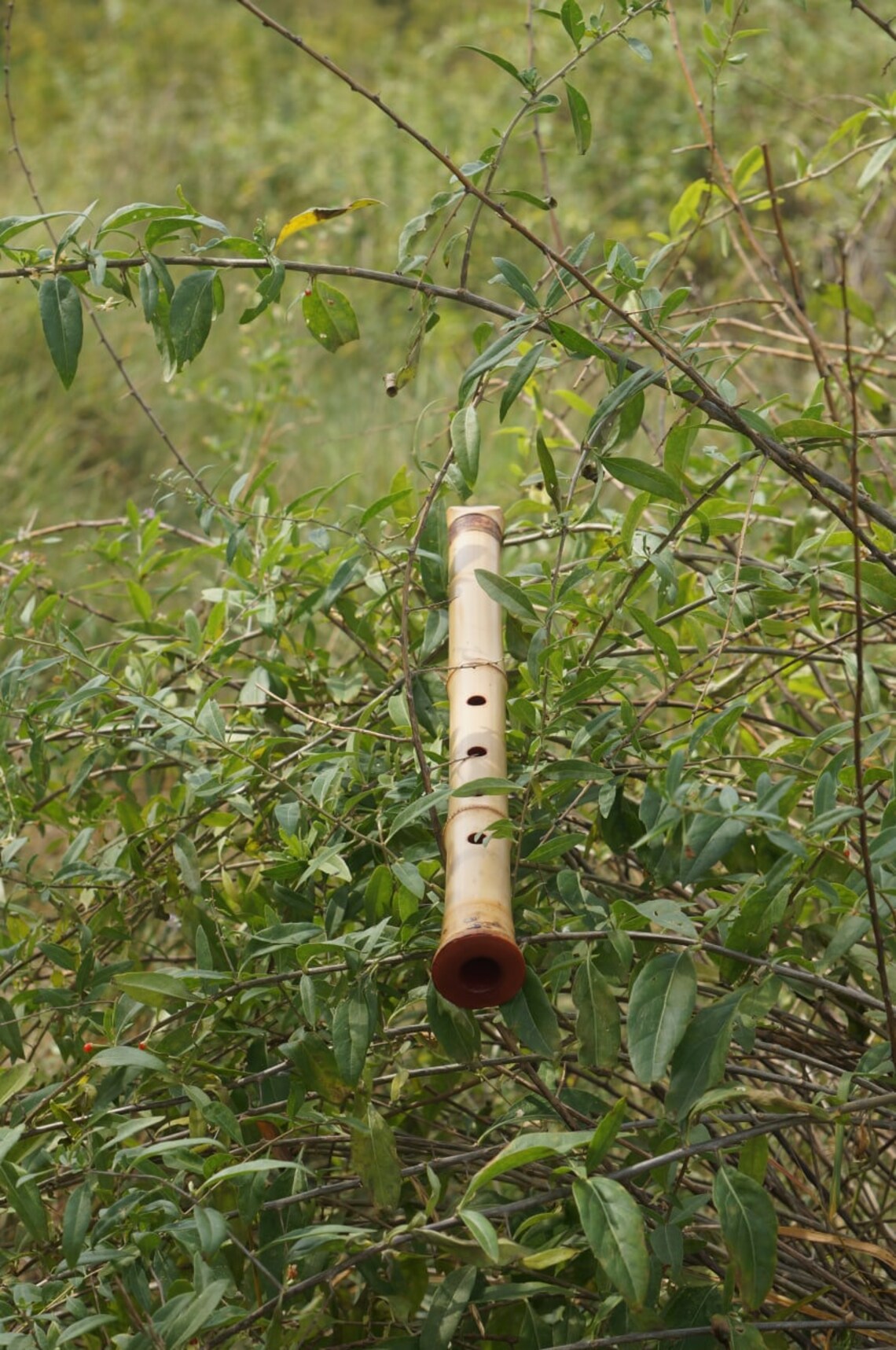 Shakuhachi Zen Flute Key E 49 Cm Myoan School Utaguchi. - Etsy