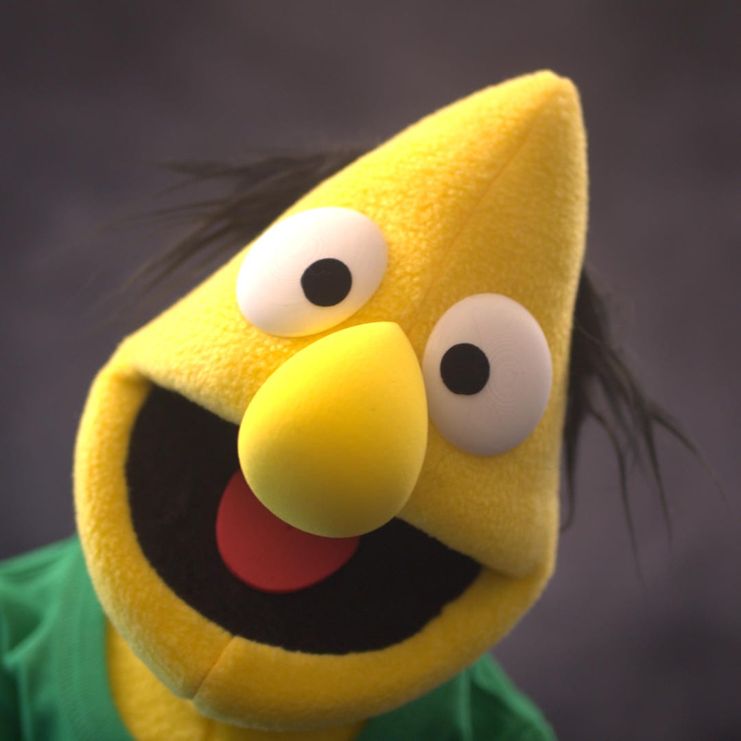 Professional Hand Puppet hooman - Etsy