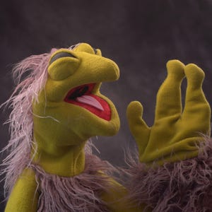 Neef Professional Hand Puppet (live Hands Version) - Etsy UK