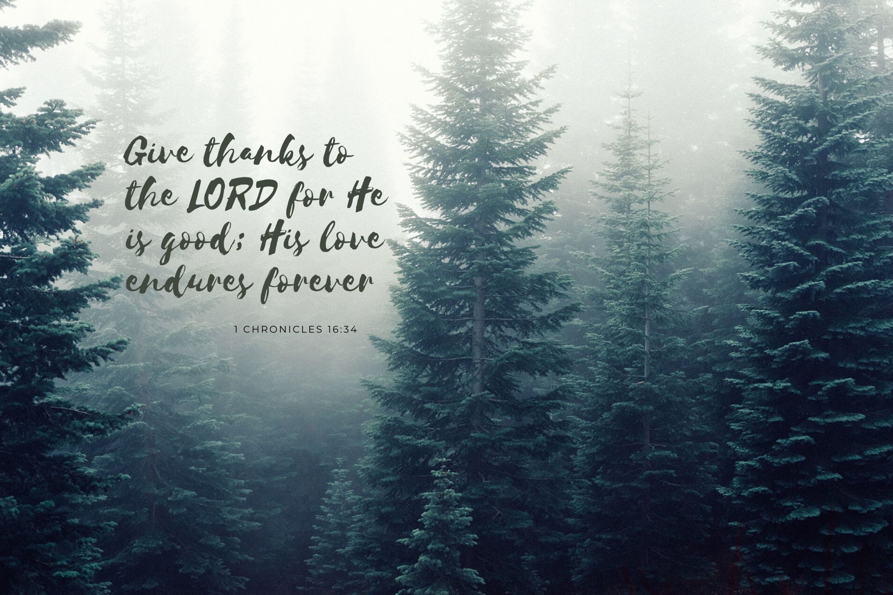 Bible Verse Give Thanks to the Lord Wall Art Printable Digital Art ...
