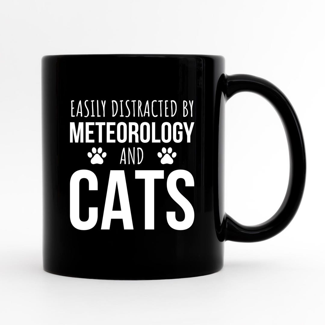 Funny Meteorologist Mug, Weatherman Gift, Meteorology Mug, Funny ...