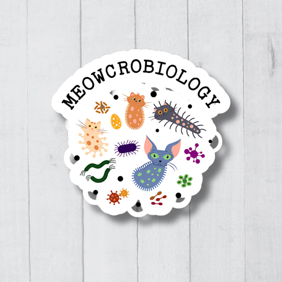 Funny Science Laptop Decals, Science Water Bottle Stickers, Science ...
