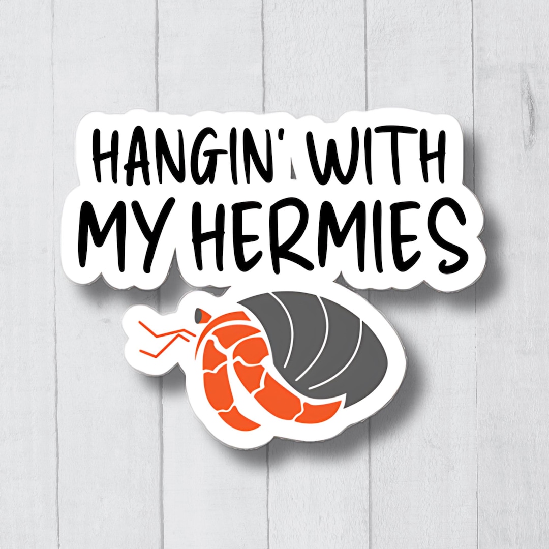 Funny Hermit Crab Sticker, Hermit Crab Gift, Hermit Crab Vinyl Sticker ...
