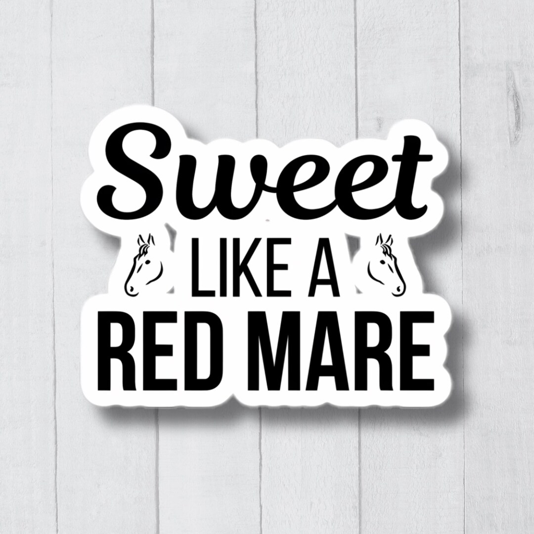 Funny Horse Sticker, Horse Stickers, Gift for Equestrians, Horse Gifts ...