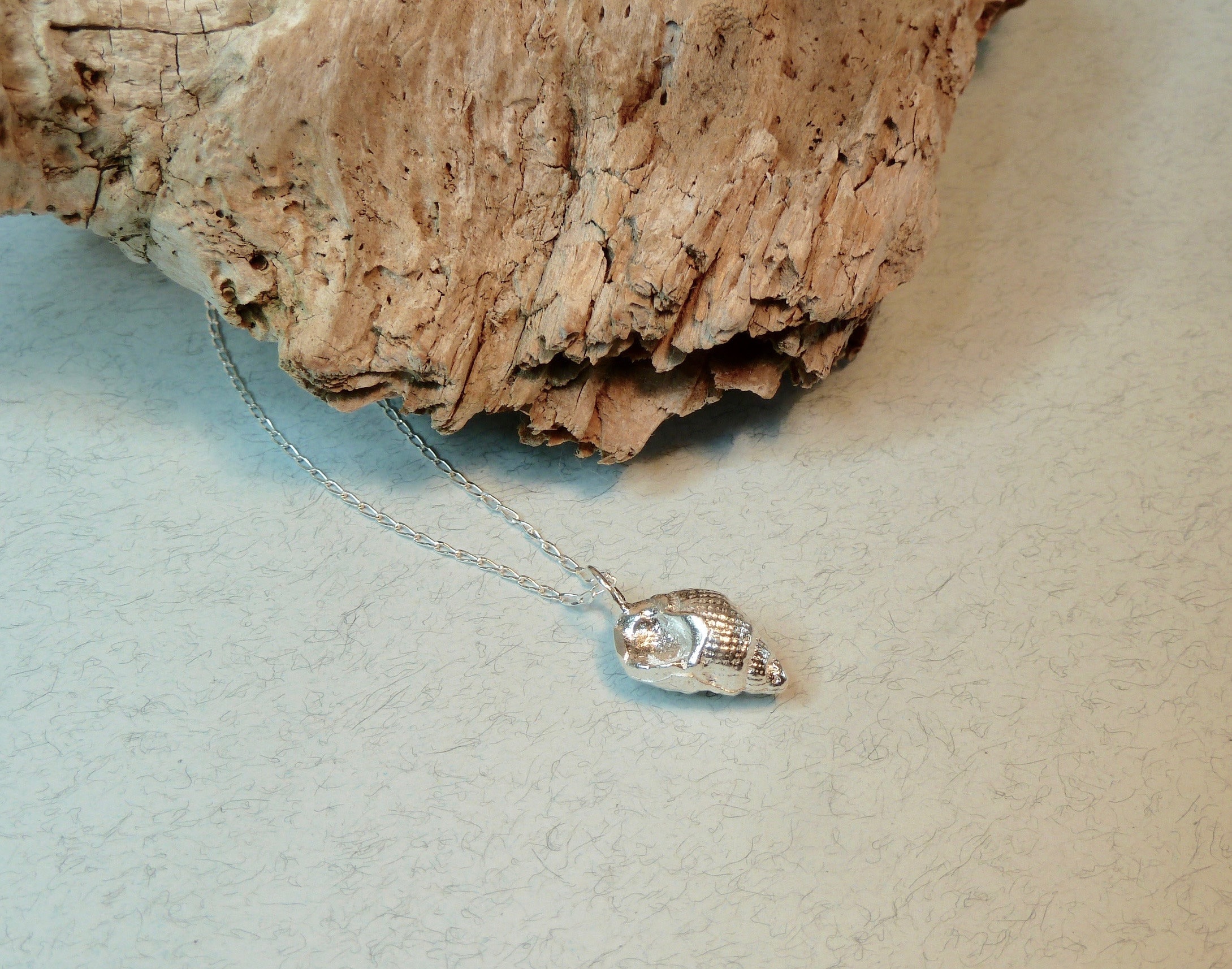 Sterling Silver Shell Necklace, Silver Winkle Shell Charm Necklace by ...