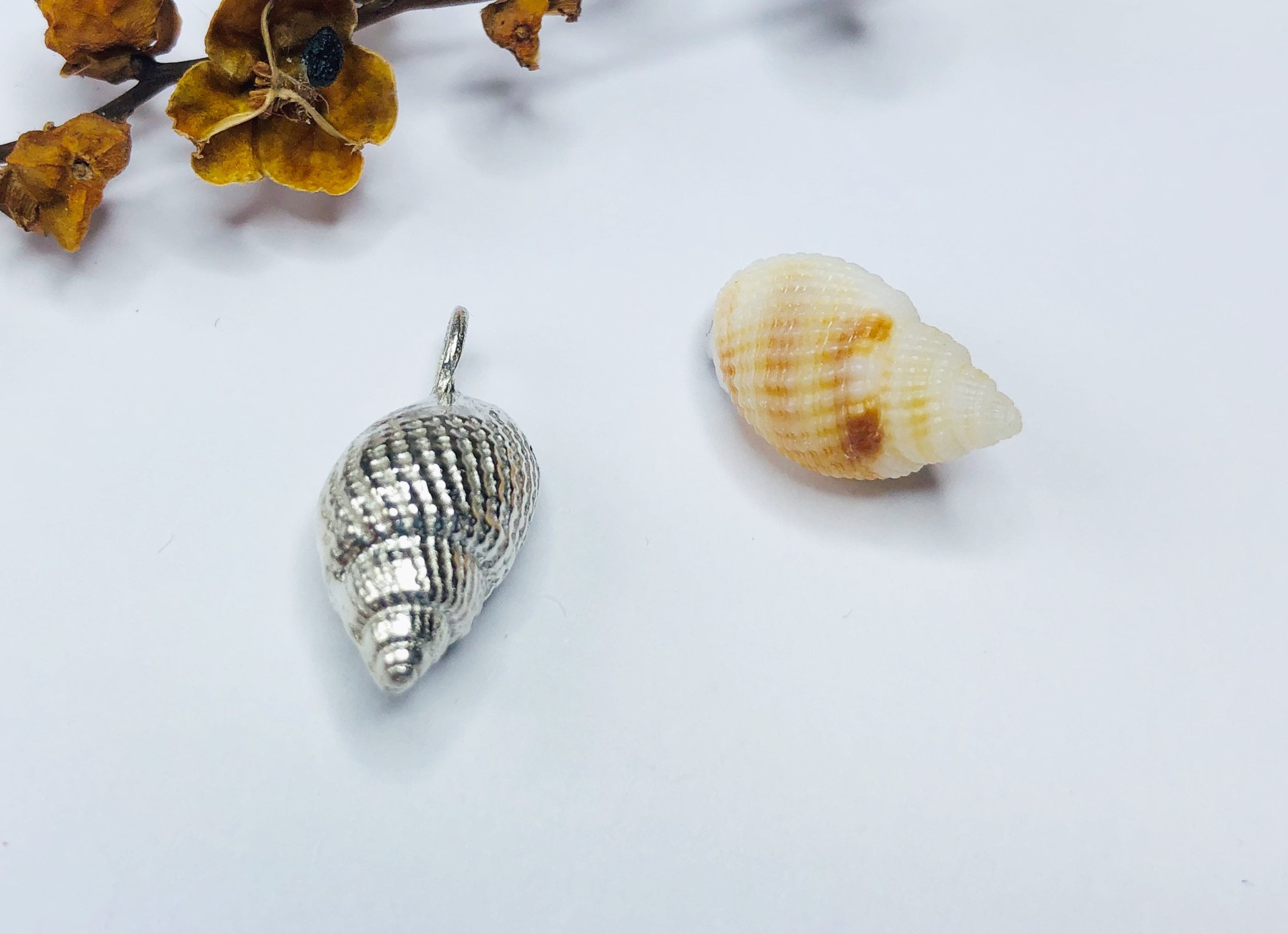 Sterling Silver Shell Necklace Silver Winkle Shell Charm | Etsy