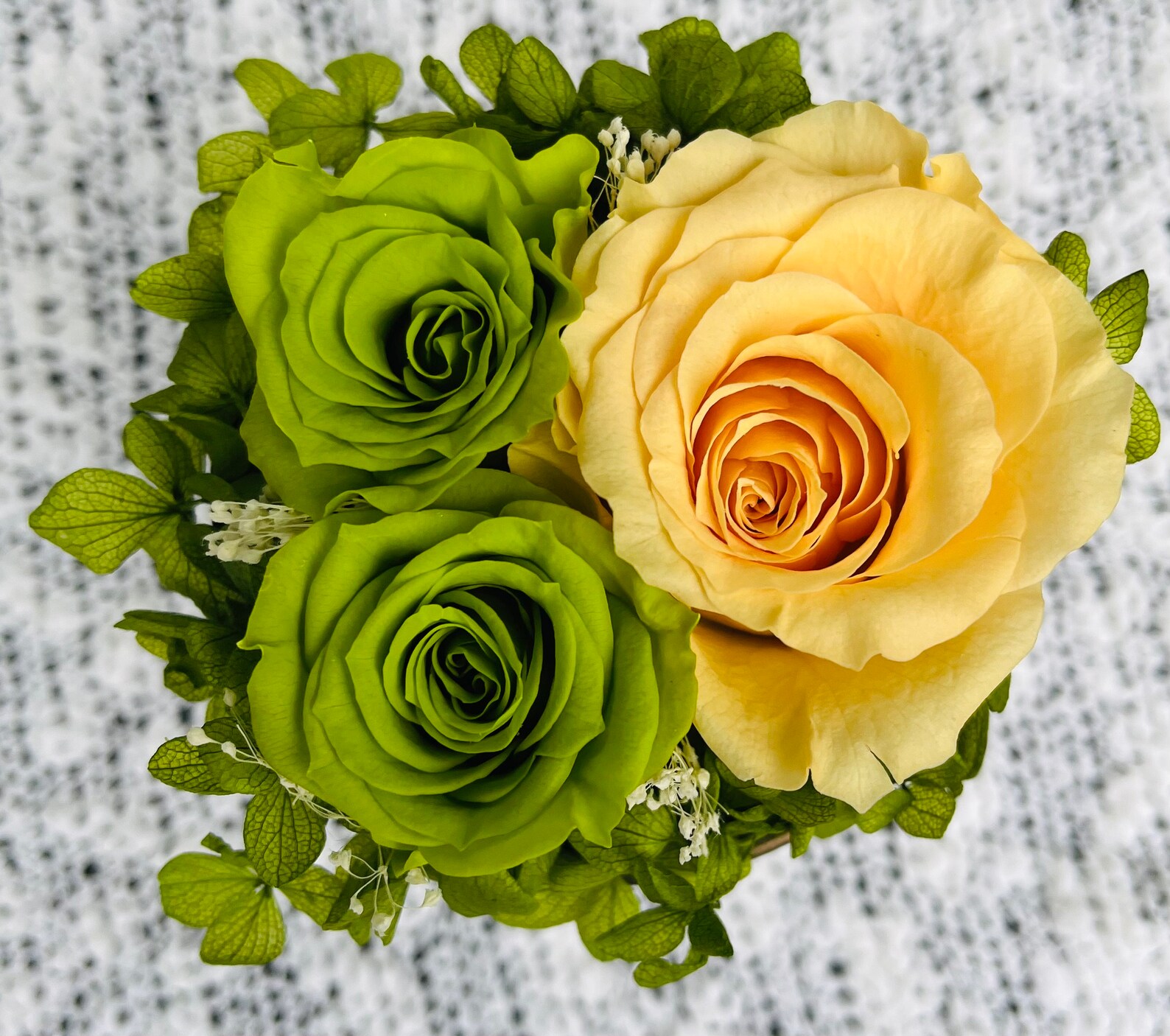 PRESERVED ROSES IN Vase Long Lasting Eternal Roses Vase | Etsy