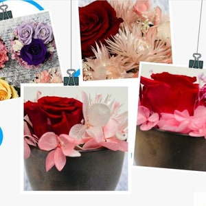 PRESERVED ROSES IN Vase Long Lasting Eternal Roses Vase - Etsy