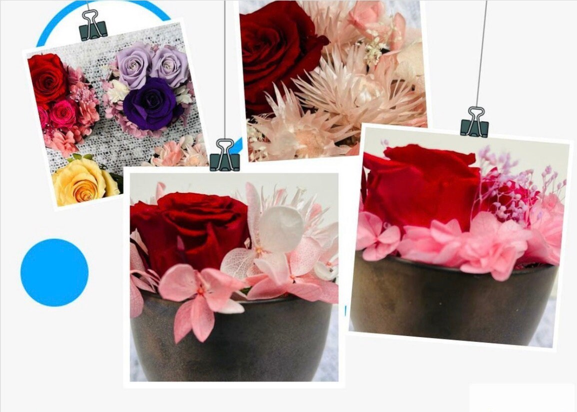 PRESERVED ROSES IN Vase Long Lasting Eternal Roses Vase - Etsy
