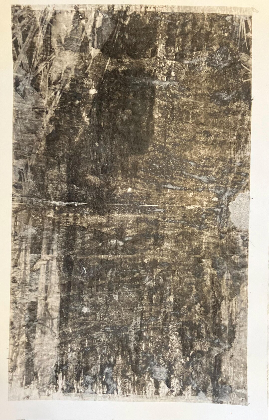 Textural Tree Photo Image Transfer Artwork - Etsy