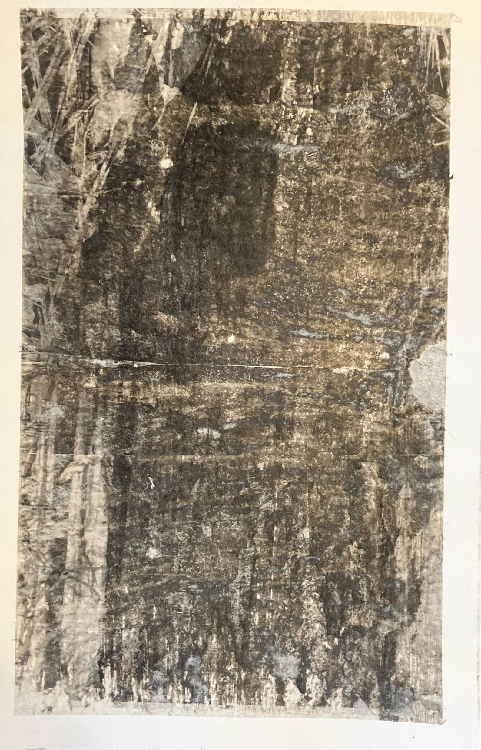 Textural Tree Photo Image Transfer Artwork - Etsy