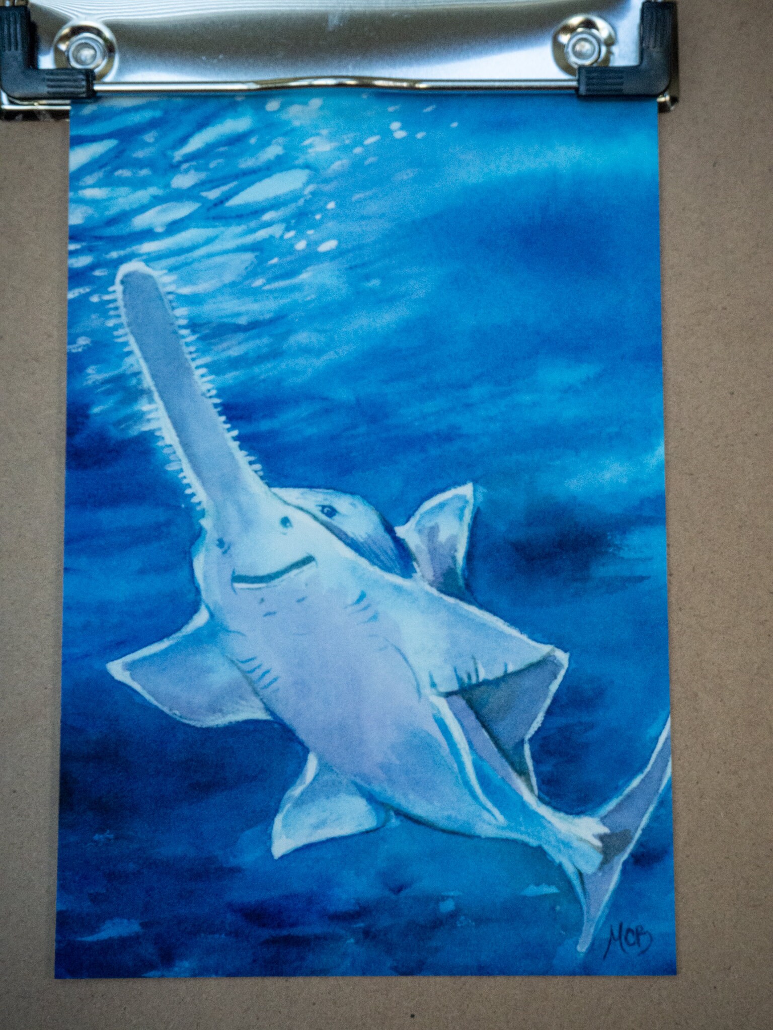 Supreme Shark Mouths Postcards - Etsy