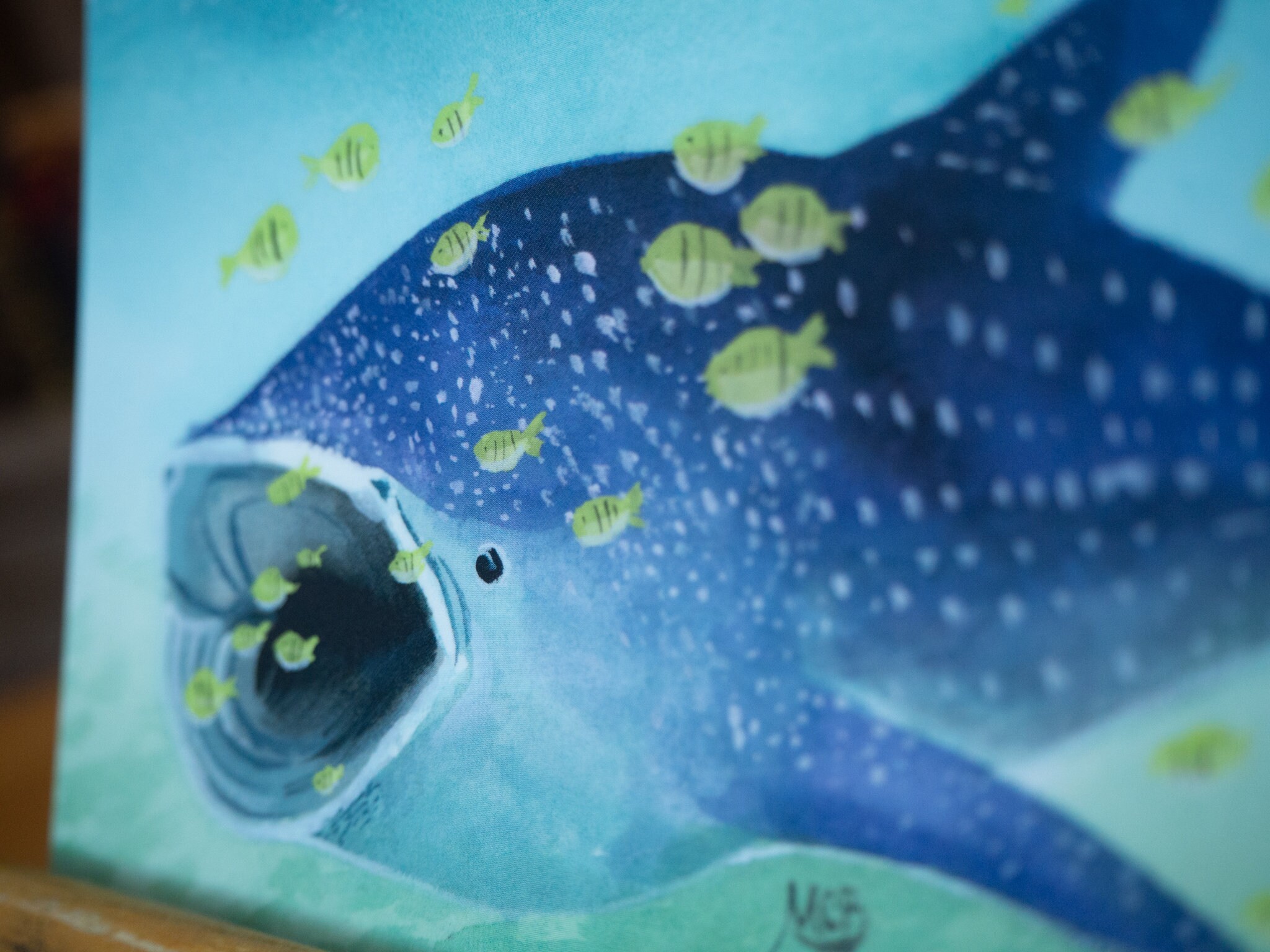 Supreme Shark Mouths Postcards - Etsy