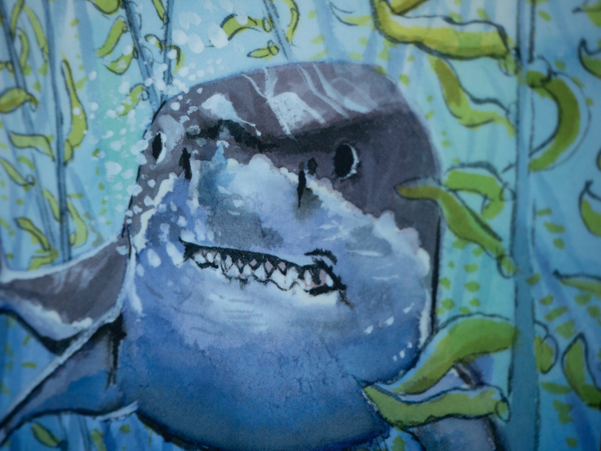 Supreme Shark Mouths Postcards - Etsy