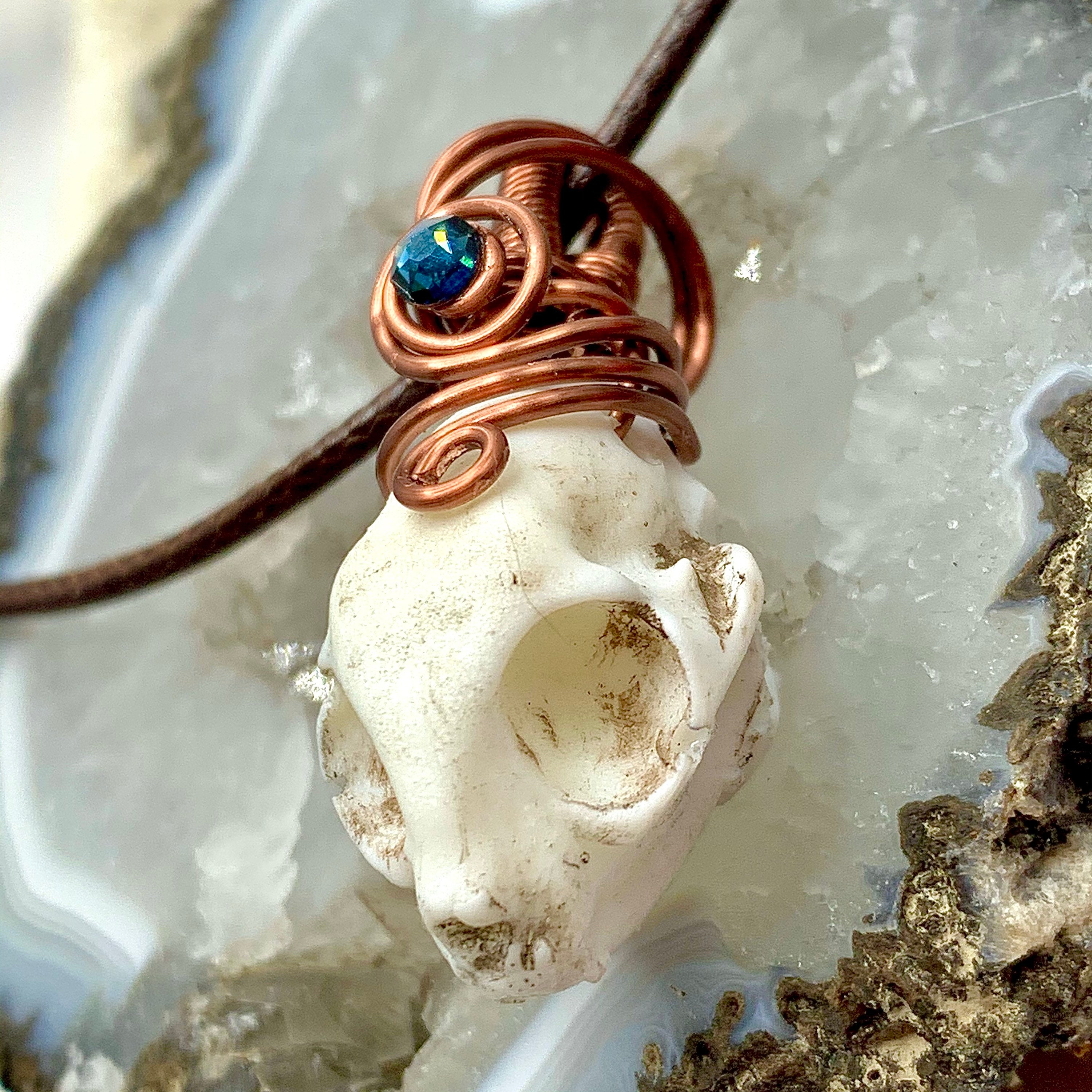 Cat skull pendant wire wrapped animal skull taxidermy | Etsy