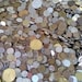 One Half Pound (8 Oz.) Random Mix World Coin Lot - Etsy