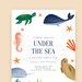 Ocean Life Under the Sea Birthday Party Theme Sea Creatures - Etsy