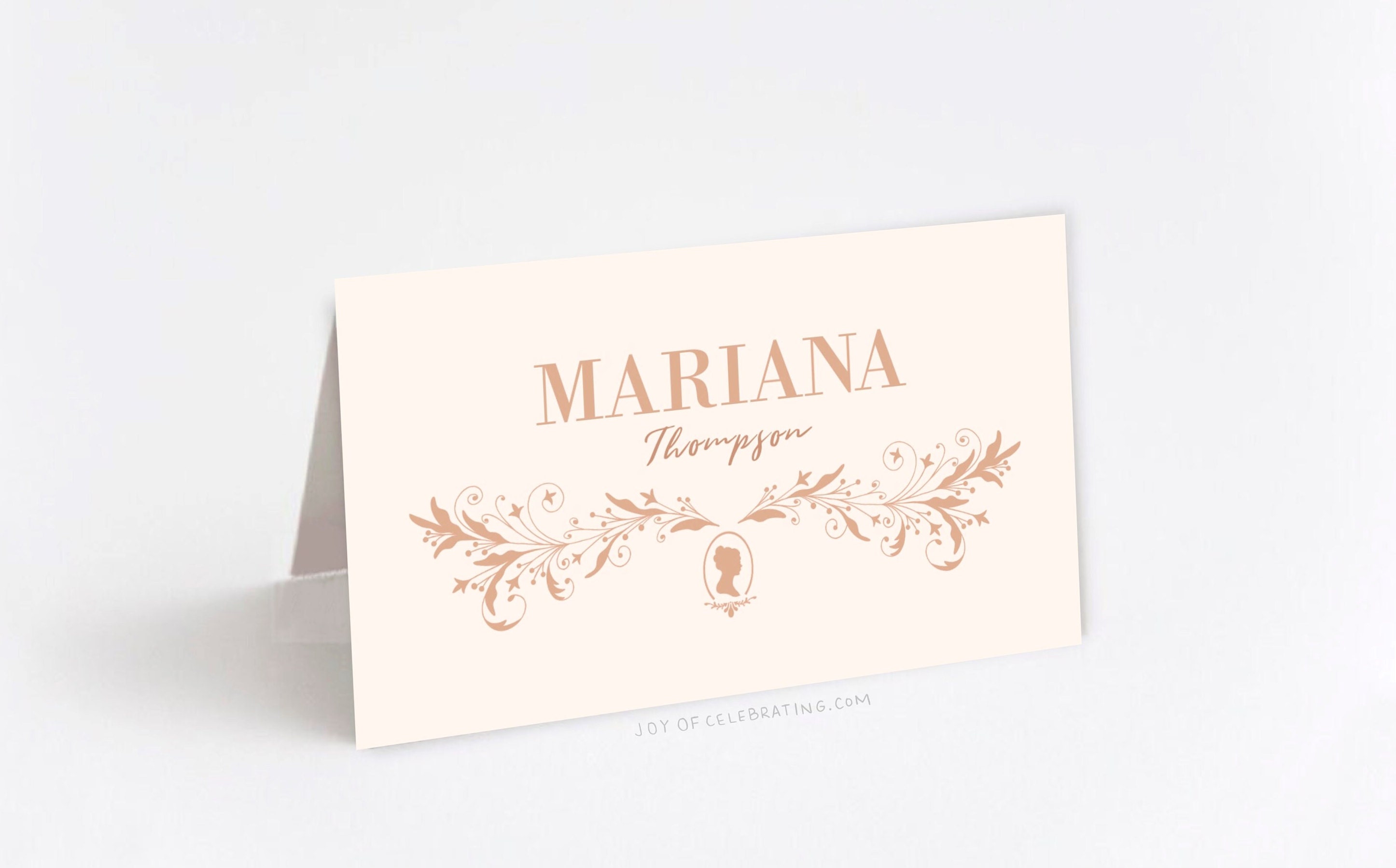 Regency Era Pink Regency Themed Party Name Card Tent Table - Etsy