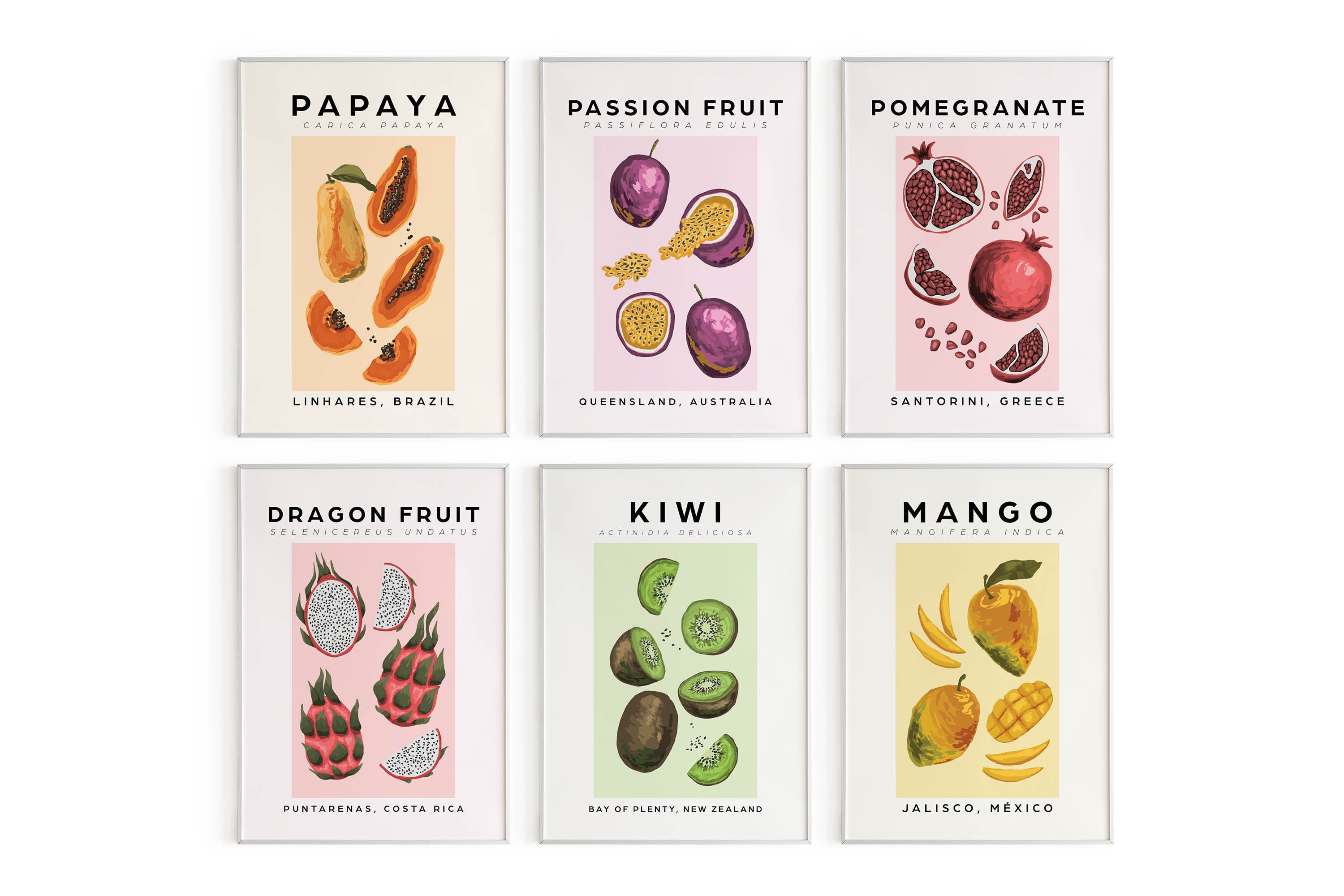 Dragon Fruit Print Tropical Fruit Print Dragon Fruit Art Pitaya Art ...