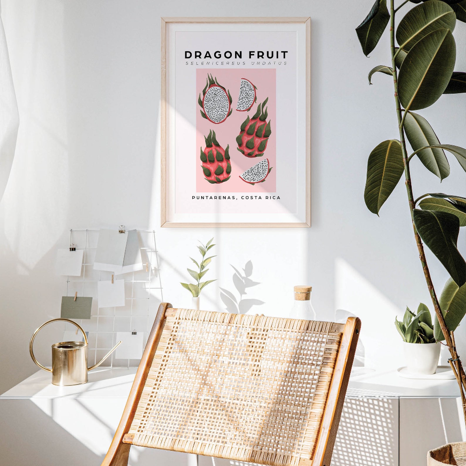 Dragon Fruit Print Tropical Fruit Print Dragon Fruit Art Pitaya Art ...