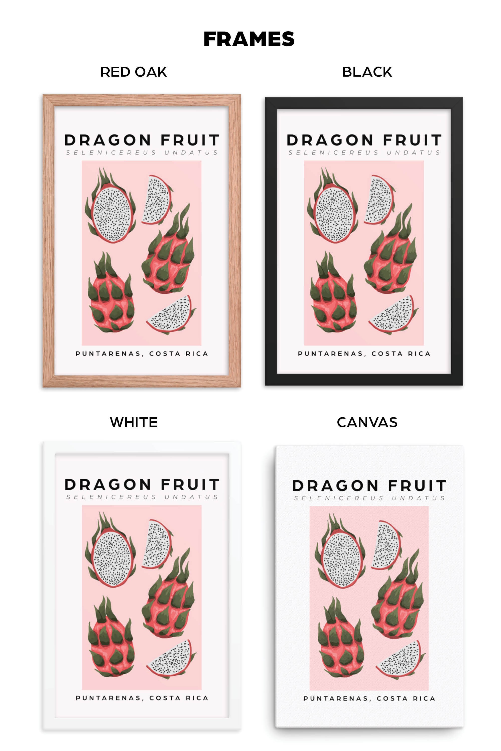 Dragon Fruit Print Tropical Fruit Print Dragon Fruit Art Pitaya Art ...
