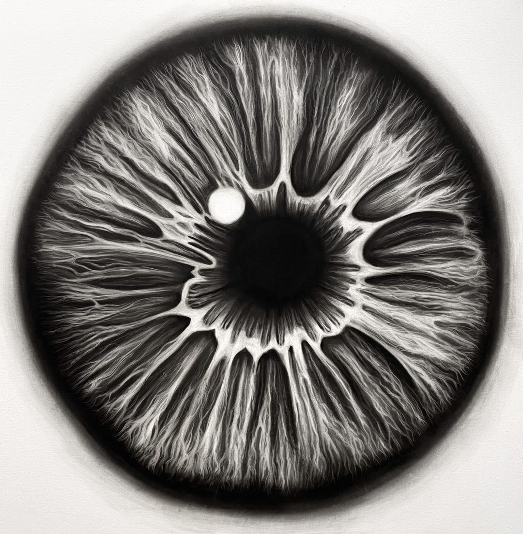 Nazar | Original Charcoal Drawing | Signed by Artist | Bear Artwork ...