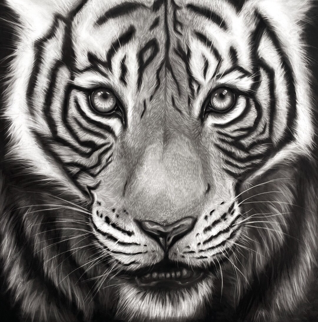 Hunters Eyes | Original Charcoal Drawing | Signed by Artist | Tiger ...