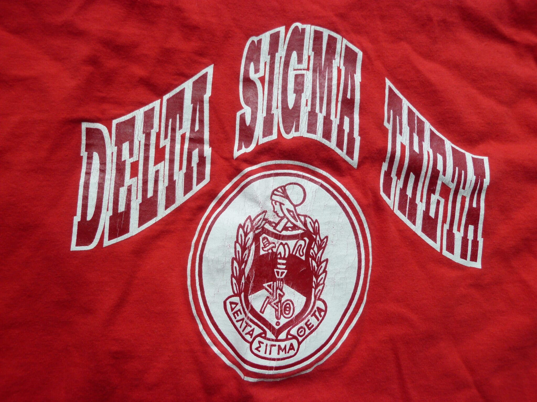 Vintage RARE Delta Sigma Theta T-shirt Large Hanes USA Red Single ...