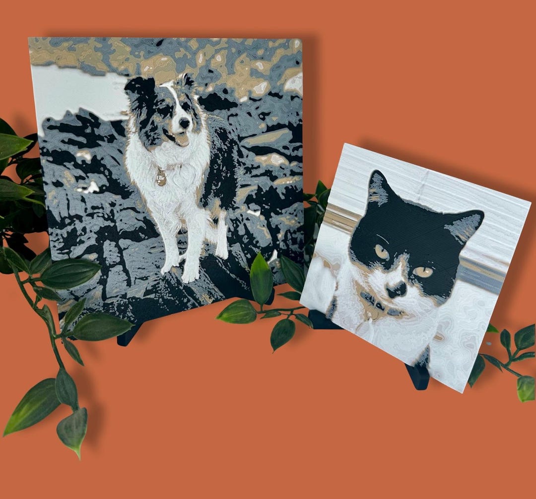3D Printed Textured Pet Portraits & Keyrings Real-life Photos of Your ...