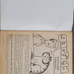 Rare Garfield Comic - Etsy