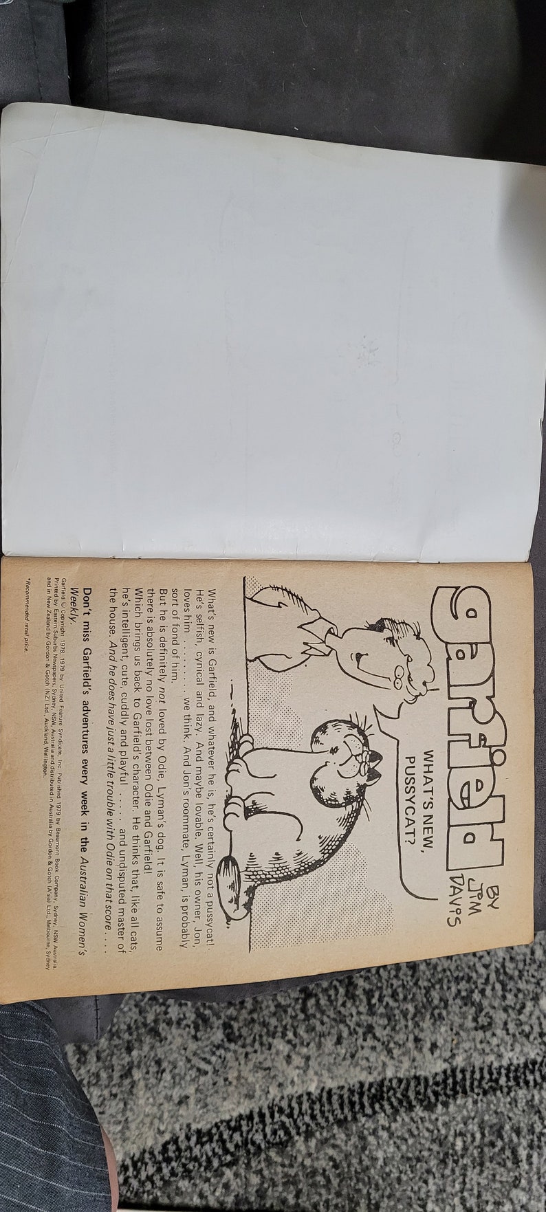 Rare Garfield Comic - Etsy