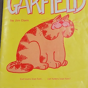 Rare Garfield Comic - Etsy