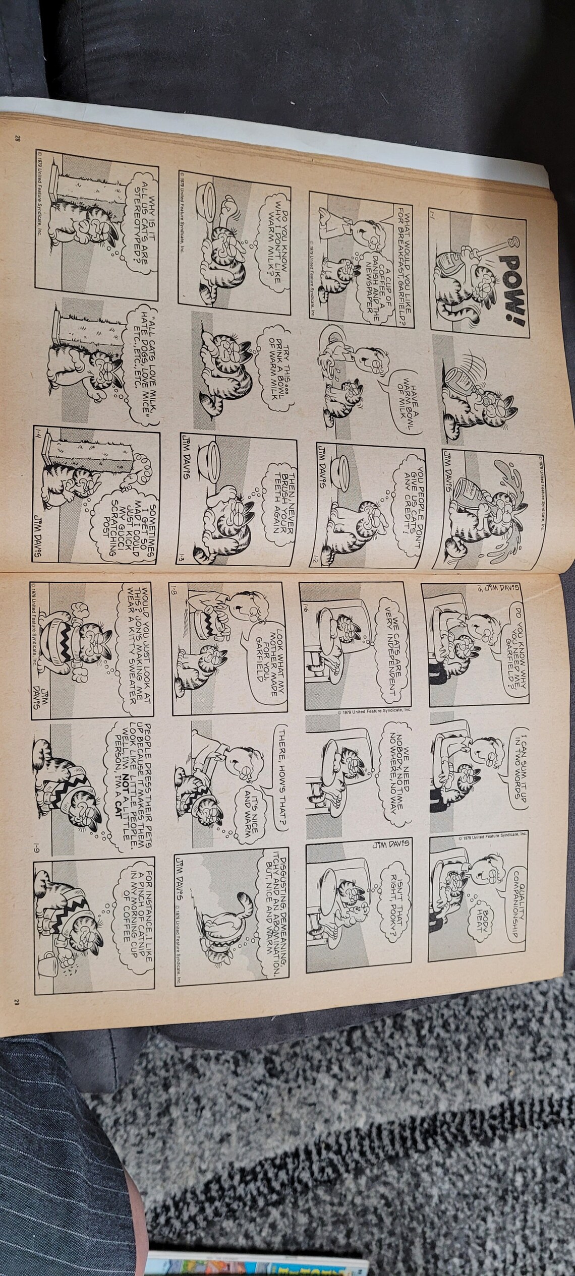 Rare Garfield Comic - Etsy