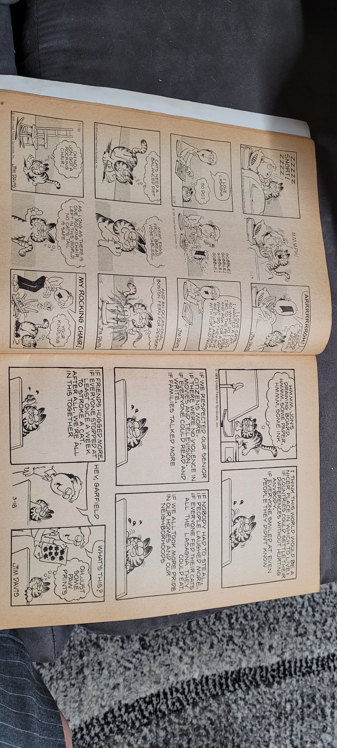 Rare Garfield Comic - Etsy