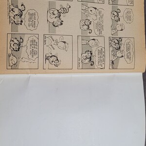 Rare Garfield Comic - Etsy