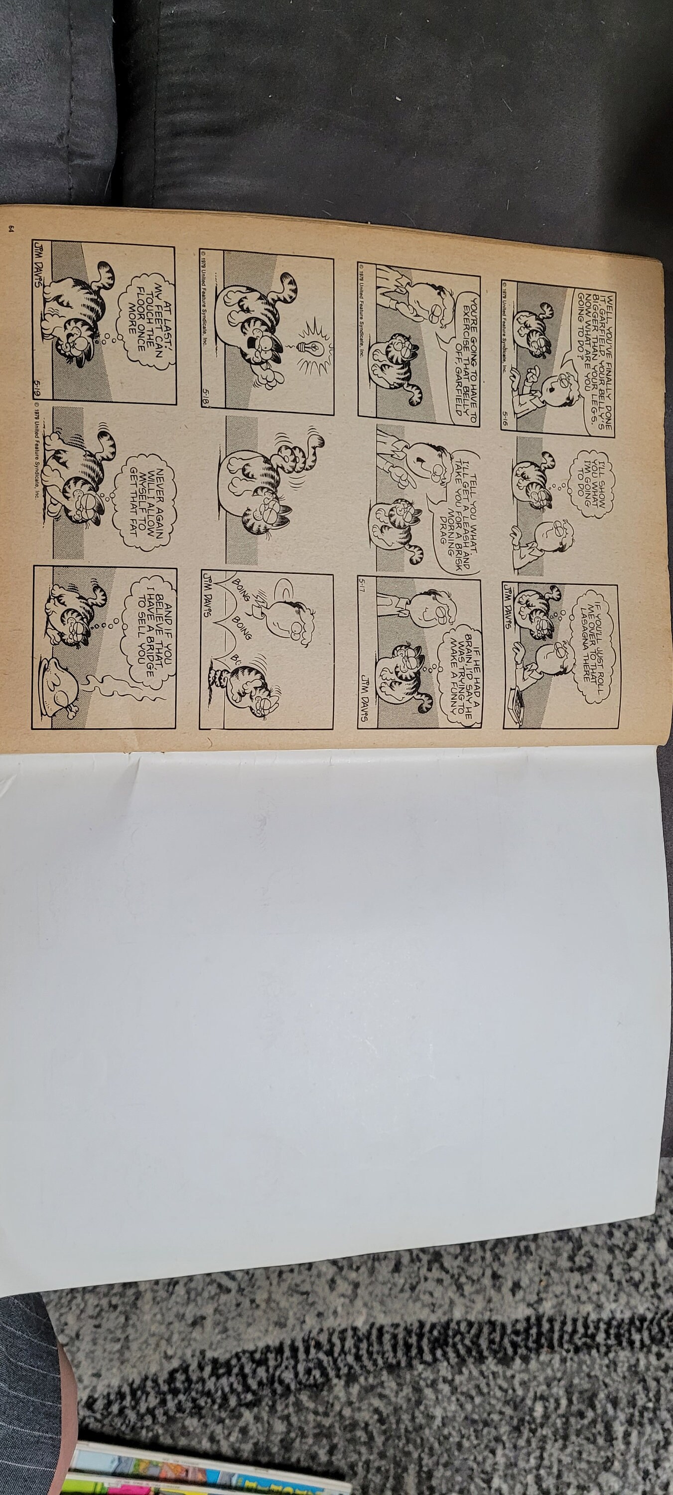Rare Garfield Comic - Etsy