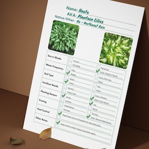 Plant & Flower Identification Template - Editable on Canva - Printable ...