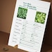 Plant & Flower Identification Template - Editable on Canva - Printable ...
