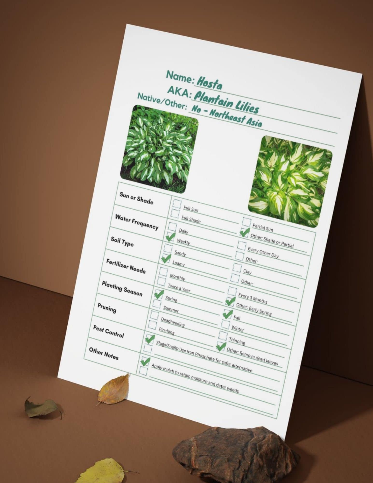 Plant & Flower Identification Template - Editable on Canva - Printable ...