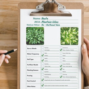 Plant & Flower Identification Template - Editable on Canva - Printable ...